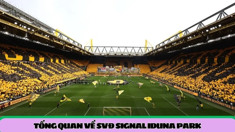 Signal Iduna Park Bức tường vàng của Dortmund - SevenAM