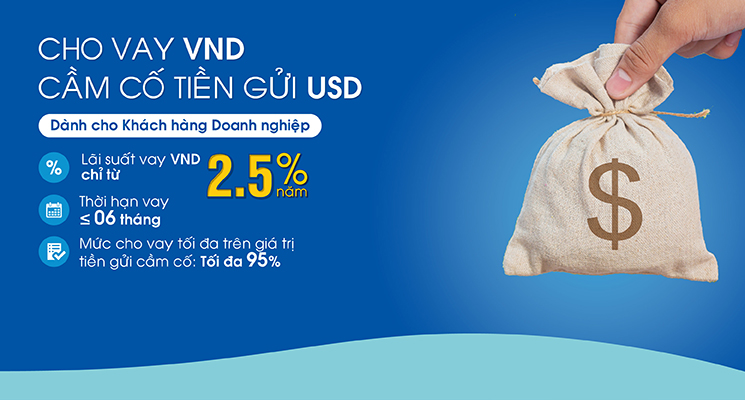 Vay vnd: Review nền tảng vay online minh bạch 2026